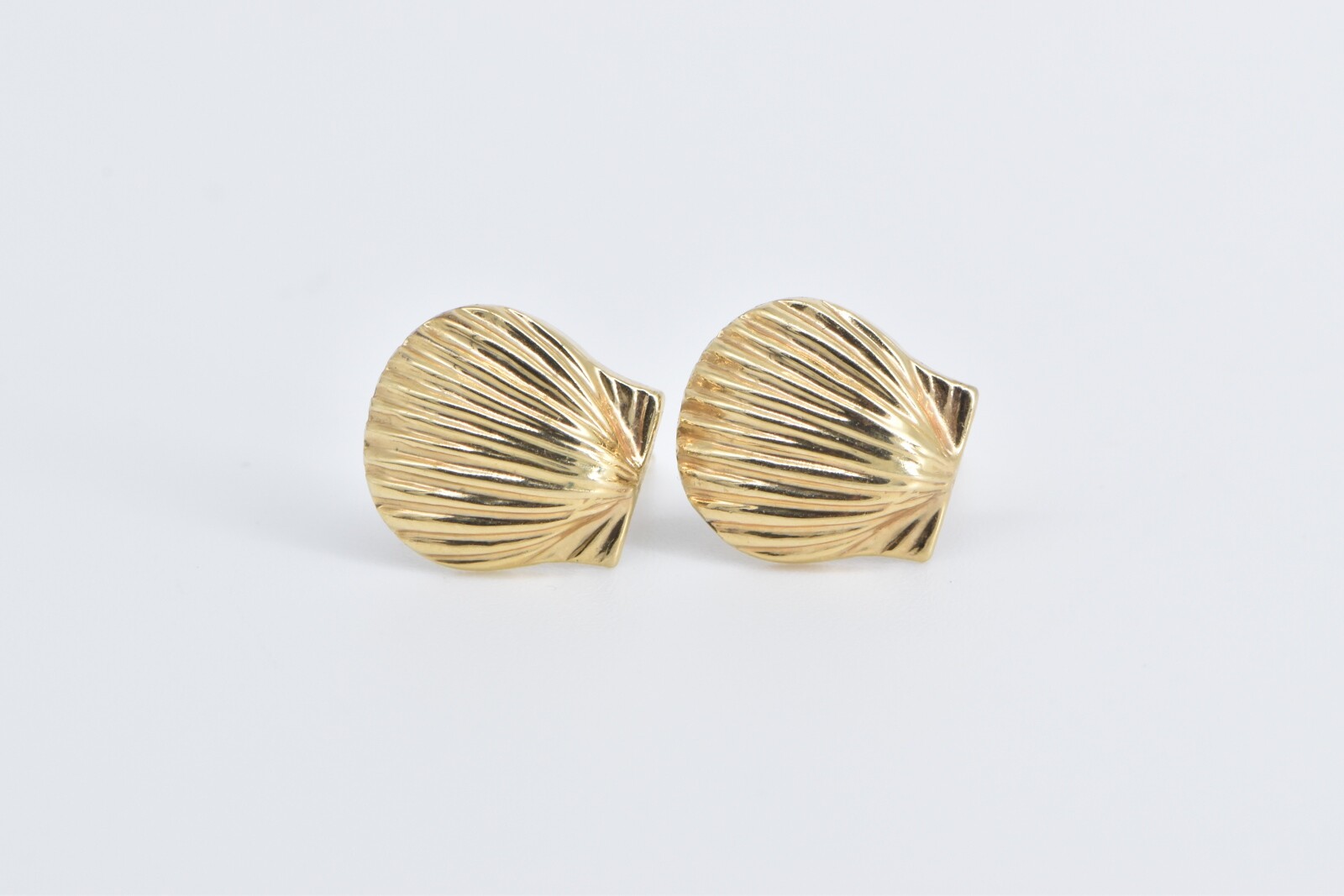 14K Scallop Sea Shell Ocean Motif Beach Stud Earrings… - Gem