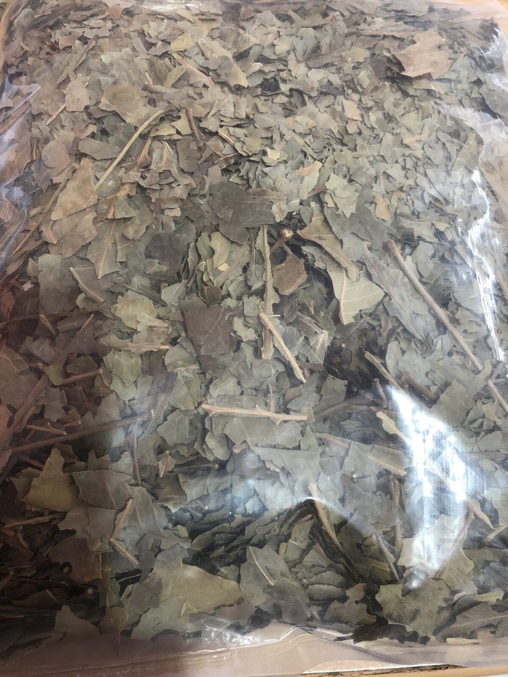 Indian Bilva Patra, Bel Patta, Bael Patra, Aegle Marmelos leaves FREE ...