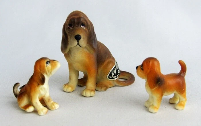Miniature Bloodhound