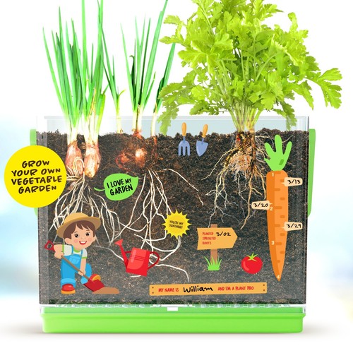 Root Viewer Kit for Kids - Grow Your Own Plant Craft Growing Kits for ...