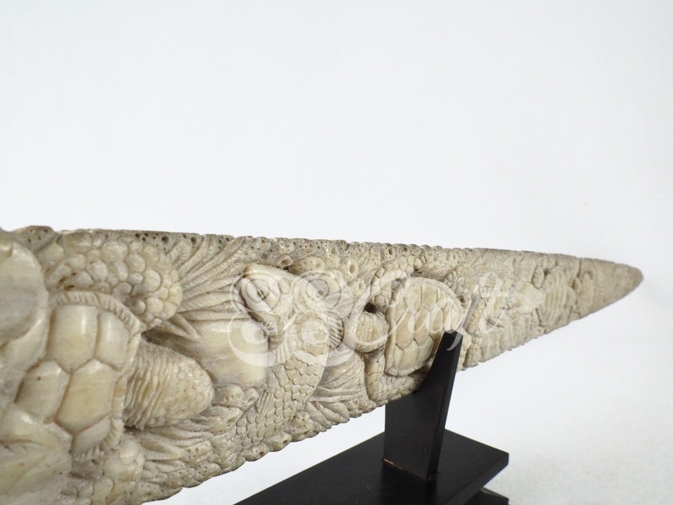 Swordfish Bill Real Marlin Bone Carved Handmade Antique Big Turtle 30 ...