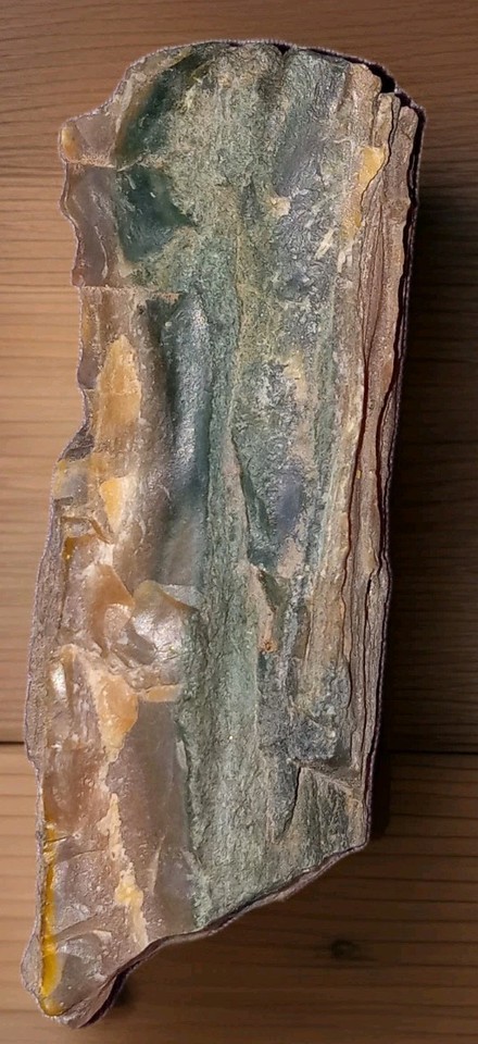 Nice Green Petrified Wood Rough Specimen | eBay