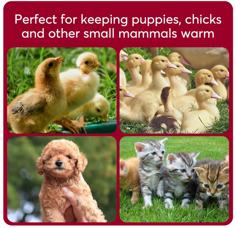 Neviland Infrared 250W High/Low Light Bulb for Puppies, Kittens, Chicks ...