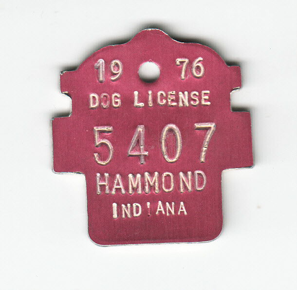 1976 HAMMOND INDIANA DOG LICENSE TAG 5407 EBay 1976-hammond-indiana-dog-license-tag-5407-ebay