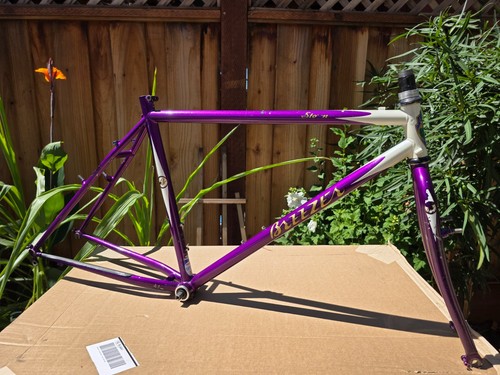 Breezer Storm MTB Frameset, 1994, RARE Purple, Ritchey Prestige | eBay