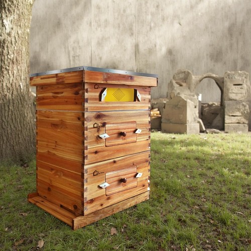 10 Frame Beehive Beeswax Coated(2 Deep Brood Bee Boxes & 1 Medium Super ...