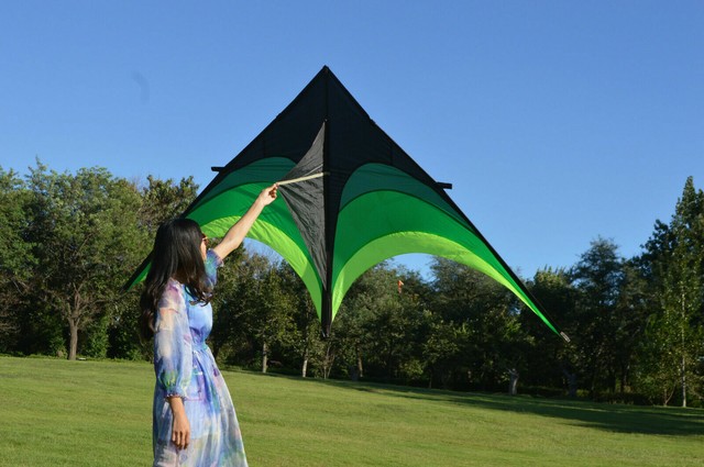 Large Delta Kite For Kids And Adults Single Line Easy To w Kite Handle ...