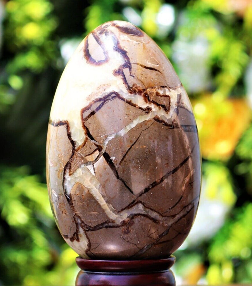 135MM Yellow Septarian Egg Septaria Septeyre Chakra Crystal Healing Gemstone Egg | eBay