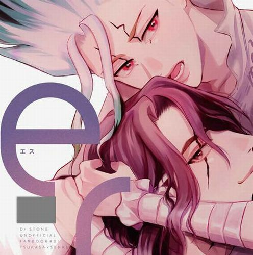Drstone Doujinshi Tsukasa Shishio X Senku Es Yasashii Seinikuten Ebay