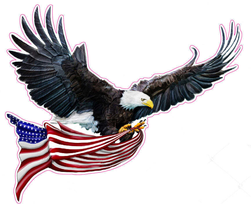 Flying Eagle With American Flag In Background Eagle Flag Stock Photos,