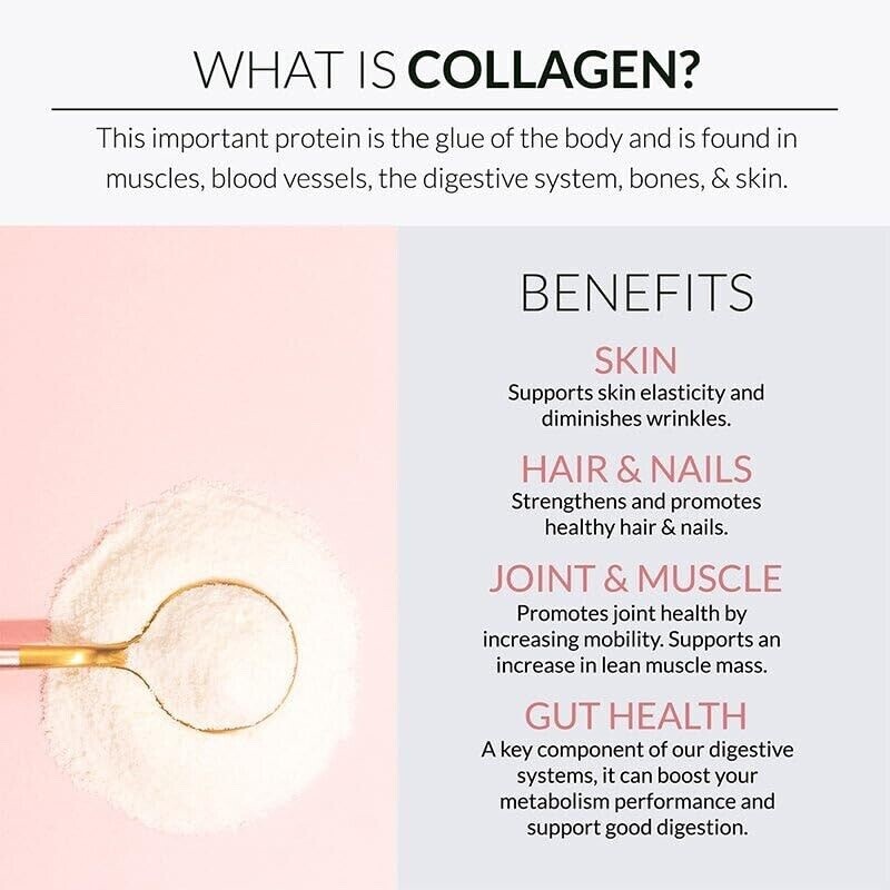 Alaya Multi Collagen Powder - Type I, II, III, V, X Hydrolyzed Collagen ...