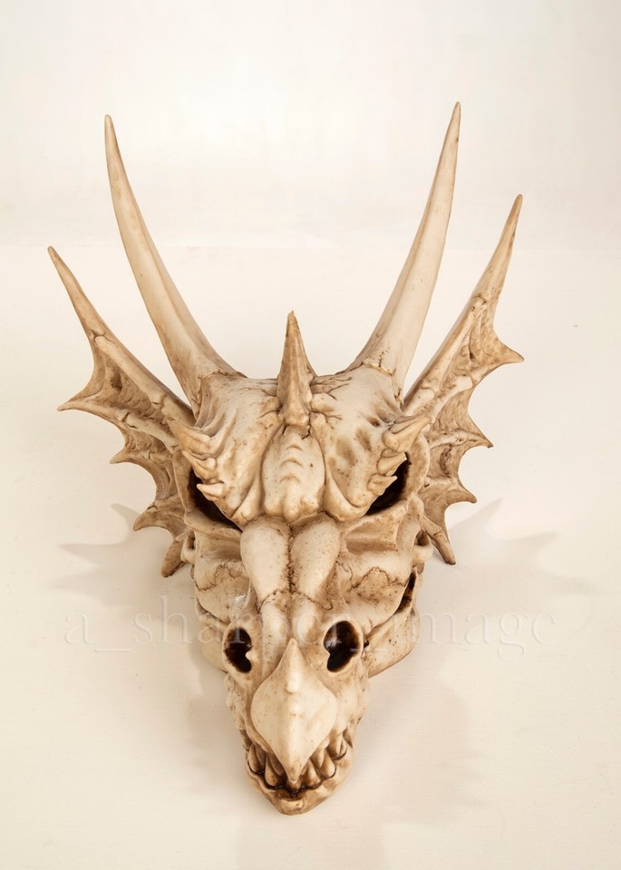 Dragon Skull LARGE 20" Statue Figurine 'Bone' Finish Fantasy Superb ...