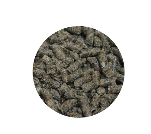 Hemp Pellets 4mm 20kg Fishing Bait Bulk Ingredients 5026616106238 | eBay