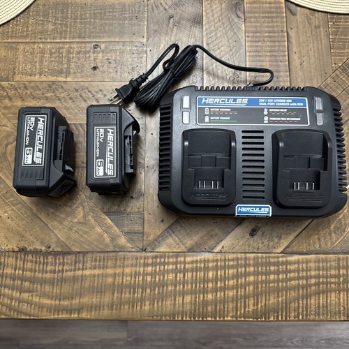 HERCULES 20V/12V Lithium-Ion Multivoltage Dual Port Charger with USB/ 2 ...