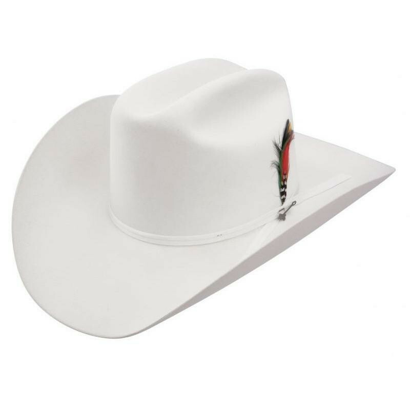 Stetson® Classic Cowboy Hat Feather ( 2 Feathers ) MULTICOLOR | eBay