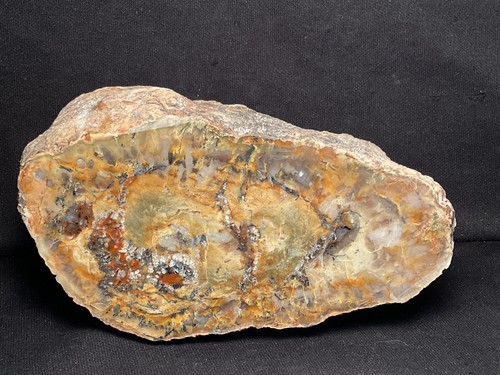 4 POUND POLISHED "DINOSAUR COPROLITE" ~~ OLD DINO POOP | eBay
