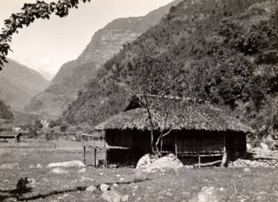 Lepcha Hut At Chungtang Sikkim India 1931 OLD PHOTO | eBay Australia
