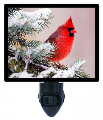 Cardinal Decorative Photo Night Light, Winter Cardinal, Red Bird, Snow ...