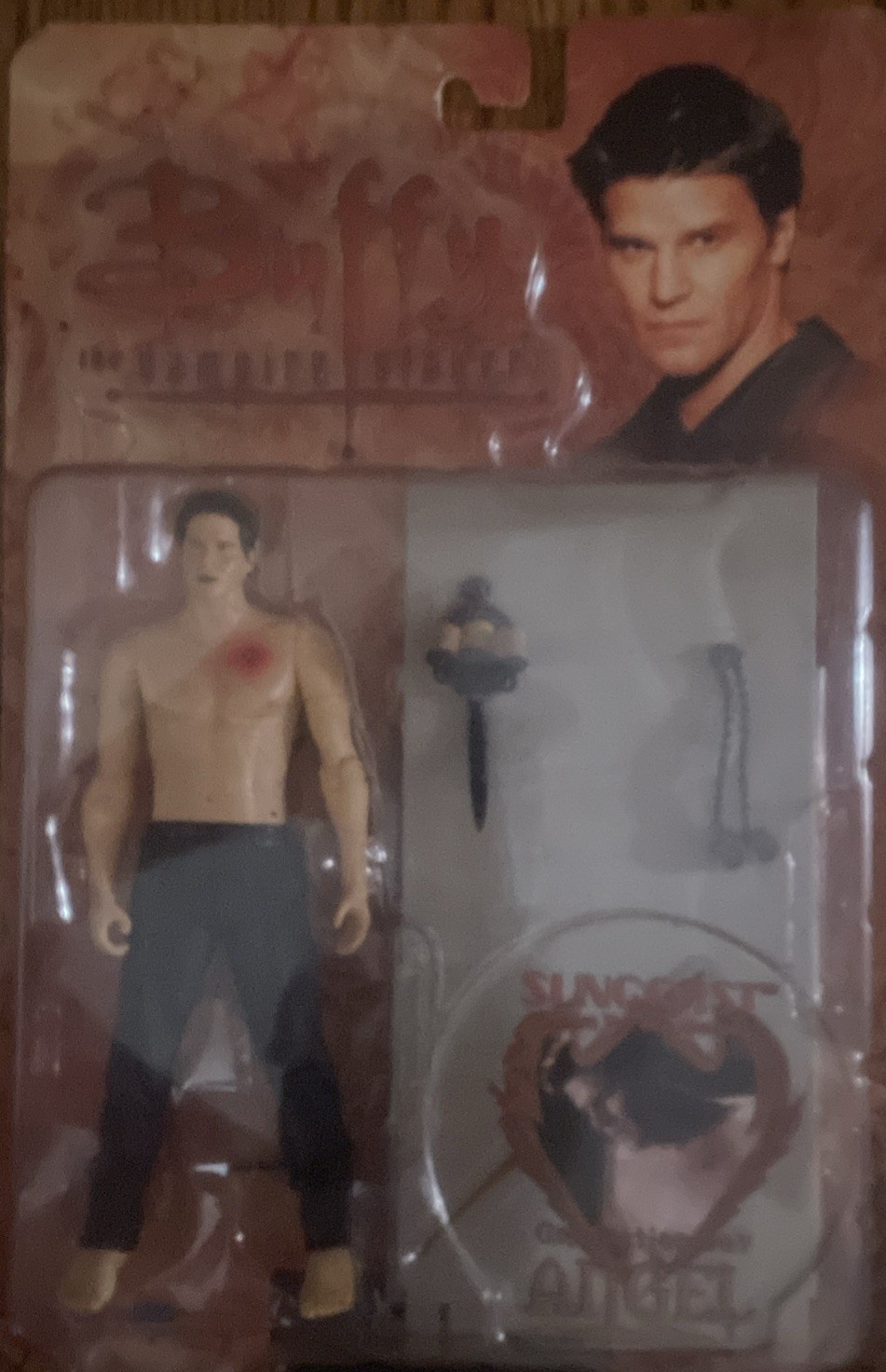 Buffy the Vampire Slayer Angel “Graduation Day” Suncoast Diamond Toys ...
