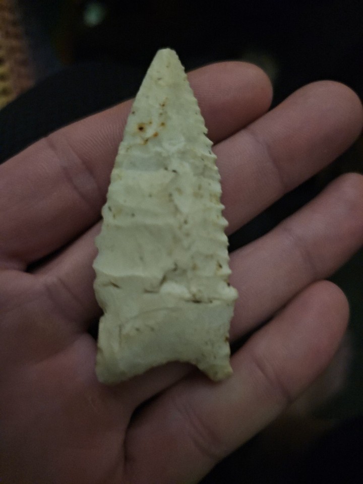 Authentic Dalton Arrowhead White | eBay