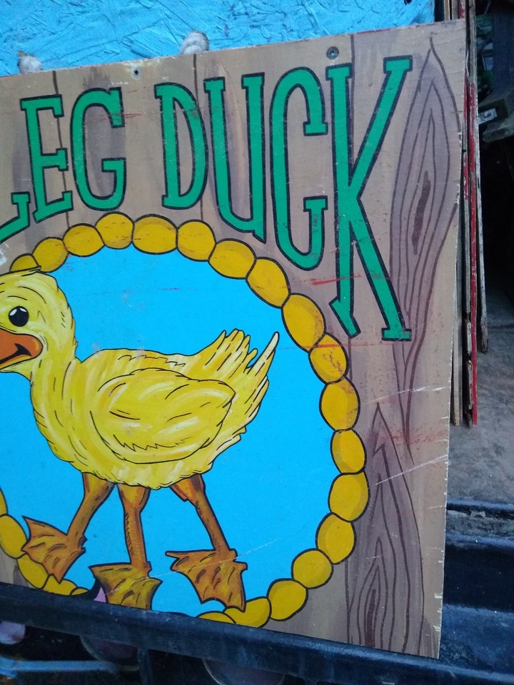 FREAK Show,SIDESHOW SIGN,CIRCUS,Wood,HAND PAINTED,Oddity,Advertising ...