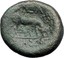 PELLA in MACEDONIA 148BC Scarce Authentic Ancient Greek Coin DEMETER ...