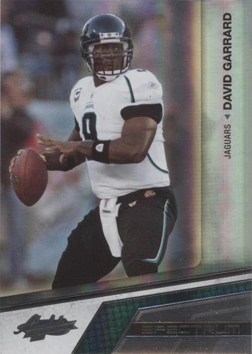 2010 Panini Absolute Memorabilia - David Garrard #45 Spectrum Silver ...