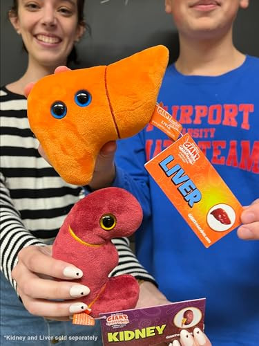 Giantmicrobes Kidney Plush, Kidney Stuffed Animal, Kidney Transplant ...