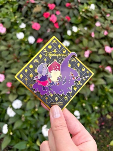 Disney Pin Madam Mim and Merlin LE Disneyland Paris The Sword in The ...