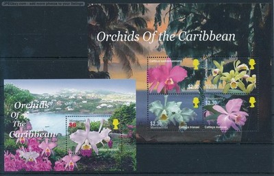 [121687] Montserrat 2005 Flora flowers blumen Orchids Set incl. sheet ...