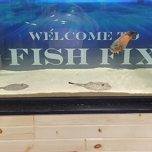 Fish Fix USA | eBay Stores