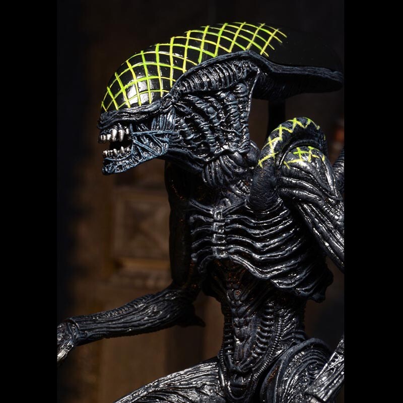 NECA Aliens Warrior Model Alien vs Predator AVP Black Action Figure 7 ...