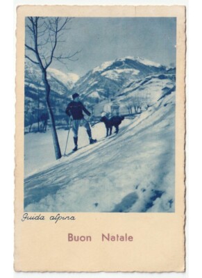 1935 Guide Alpina Dog Mountains Snowy Photo Card D'Epoca Merry ...