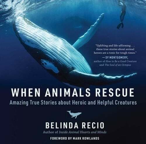 When Animals Rescue: Amazing True Stories about Heroic and Helpful ...