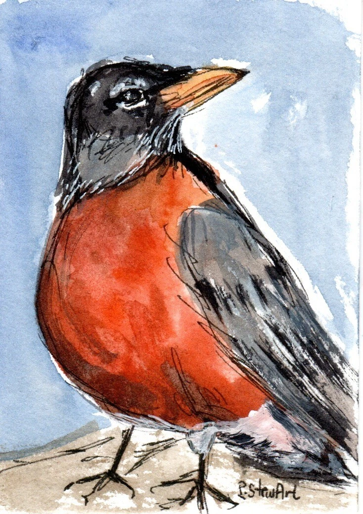 Robin Redbreast Sketch