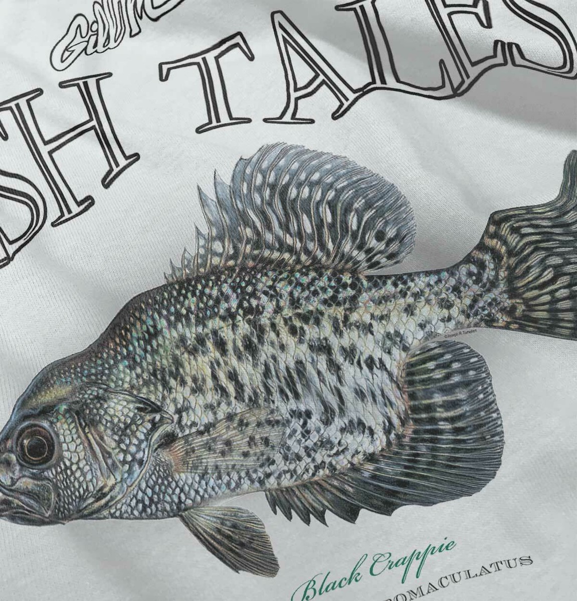 Baby Black Crappie