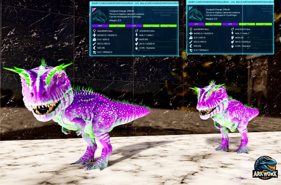 🦖ARK Survival Ascended Carcha New Top Stats 1605M PVE PS5/XBOX/PC | eBay