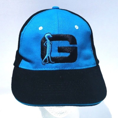 Geico Insurance G Gecko Lizard Baseball Cap Hat Embroidered Cotton ...