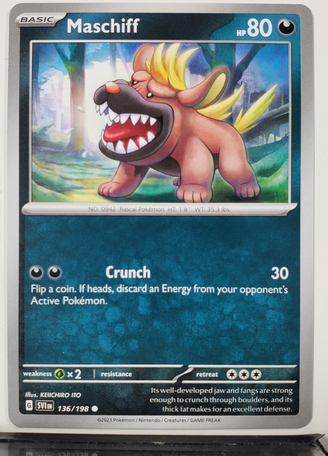 Maschiff 136/198 - NM / M - Scarlet Violet Pokemon Card - $2 Combined ...