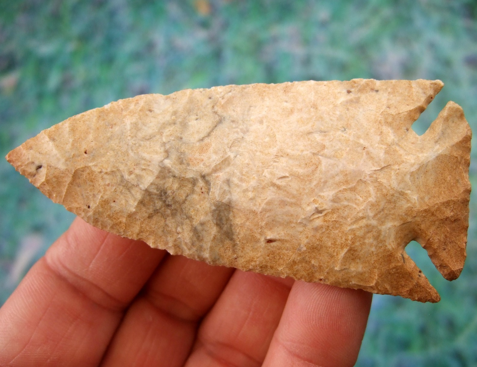 Super Fine 3 5/8 inch Missouri Burlington Pine Tree Point with COA Arrowheads | eBay