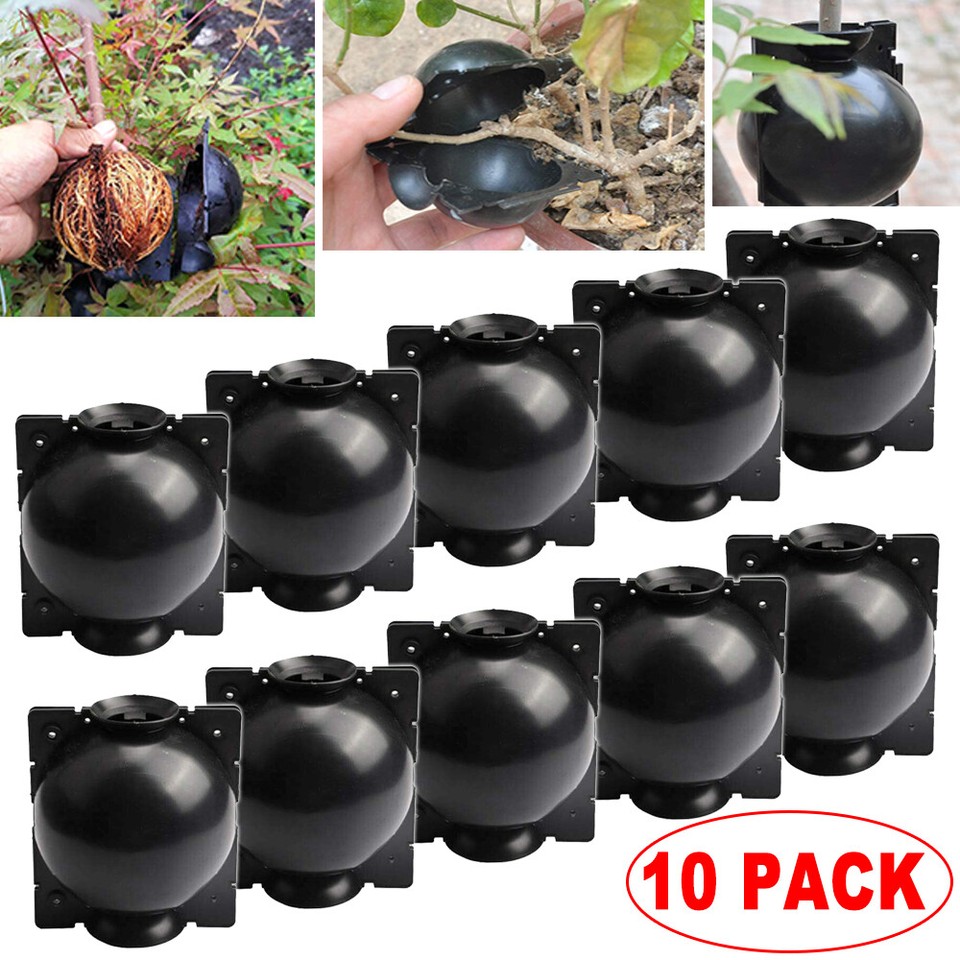 10/20/50/100pcs Reusable Plant Grow Graft Balls High Pressure ...