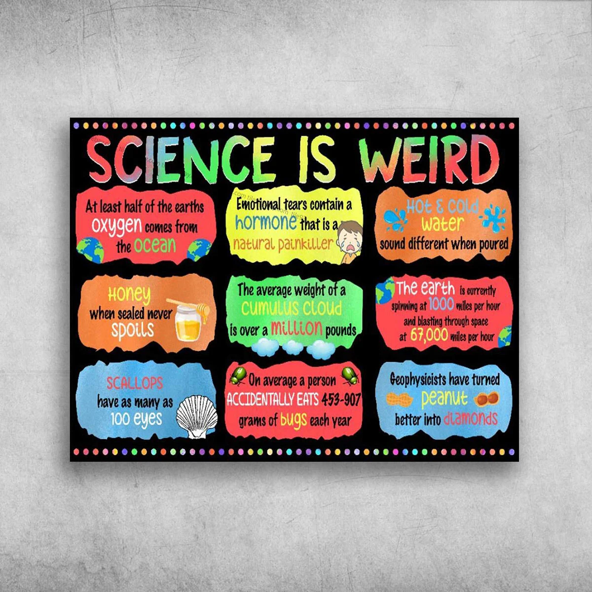 Science Classroom Decorating Ideas