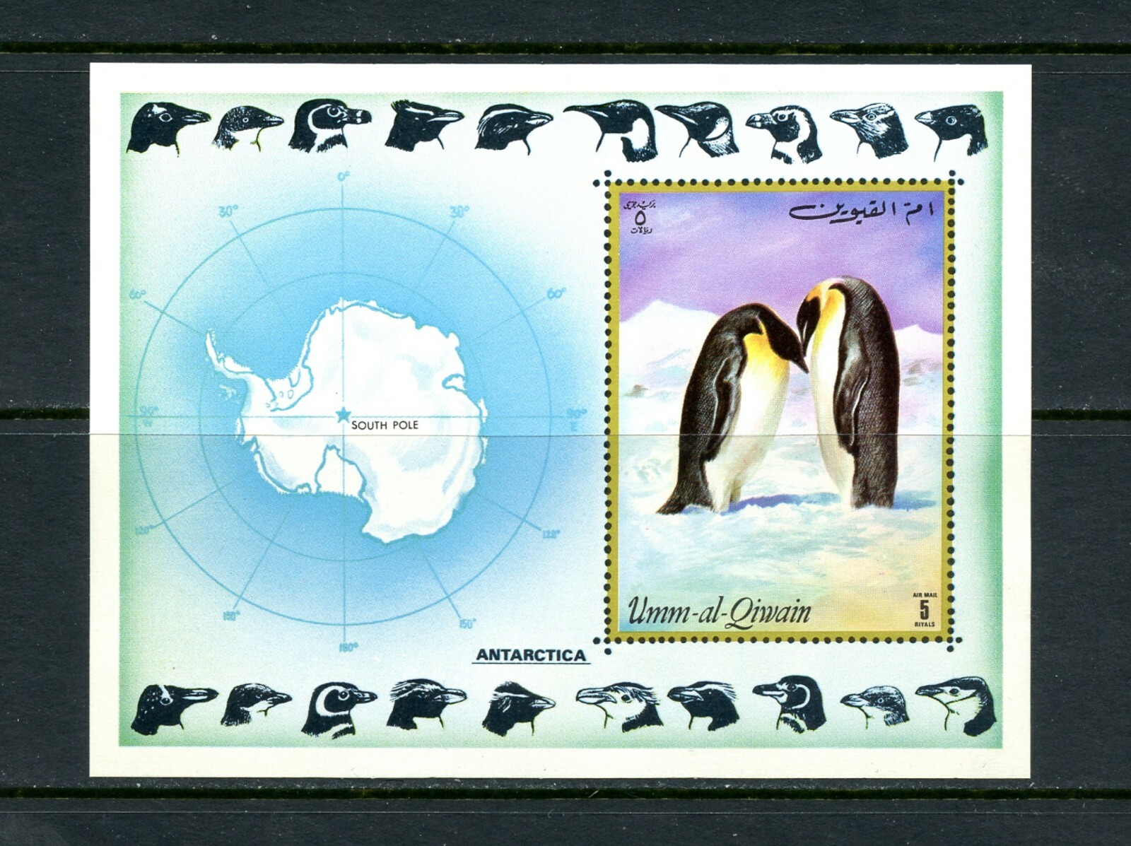 V717 Umm al Qiwain 1972 birds penguins maps Antarctica sheet MNH | eBay ...