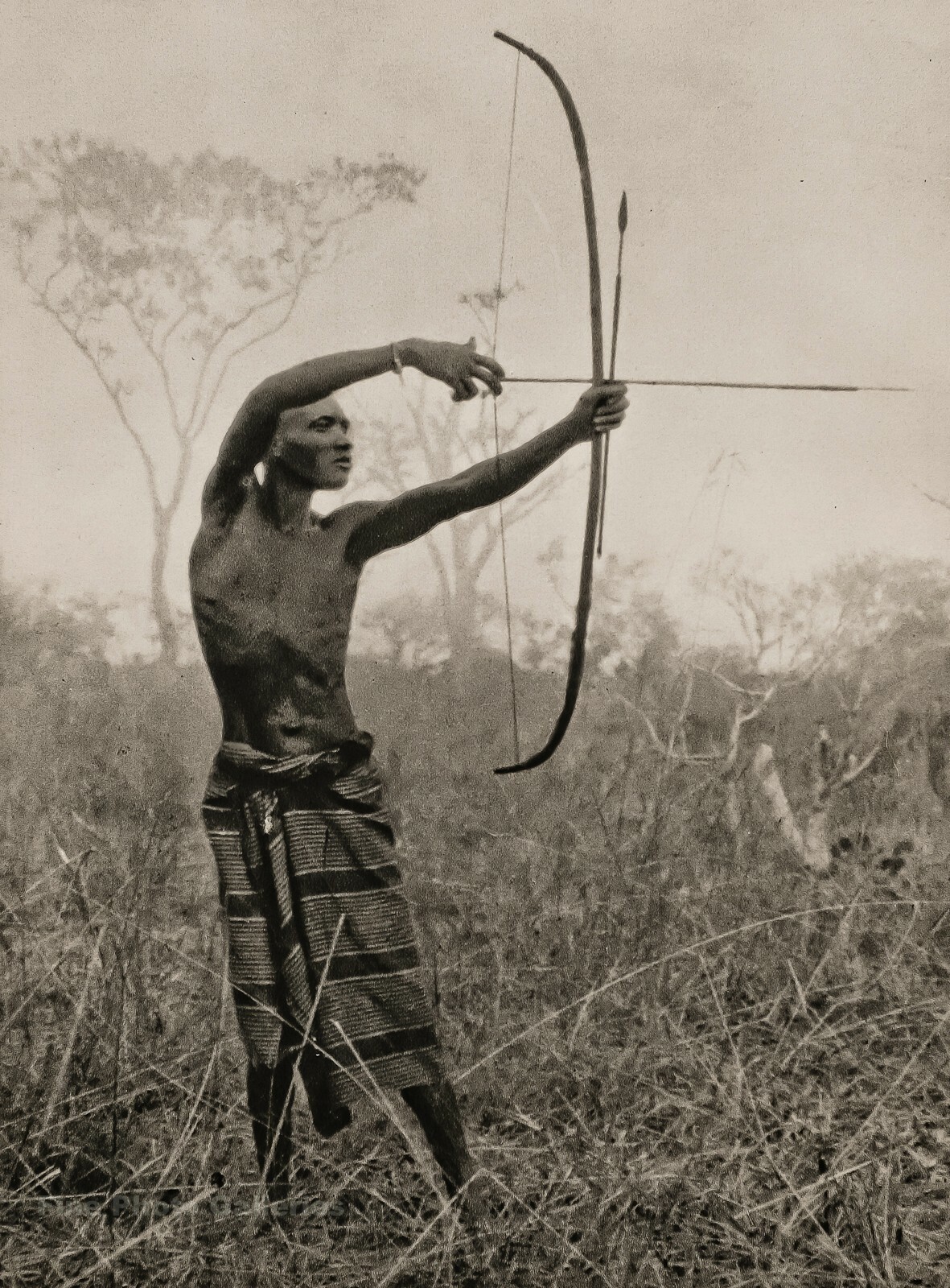 1929 Original AFRICA Black Man Archer Batwa Tribe Hunter Photo Gravure ...