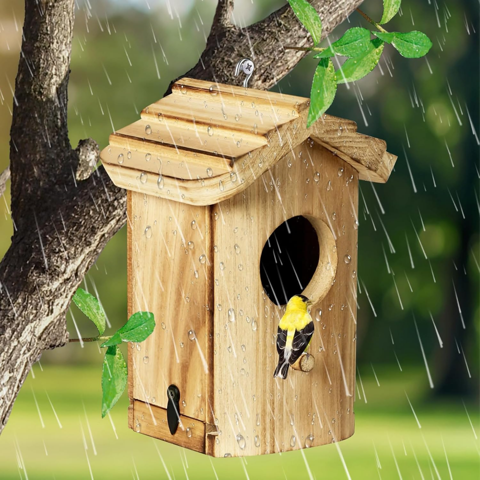 Hummingbird House,Wooden Birdhouse,Hummingbird Nest,Small Bird Houses ...
