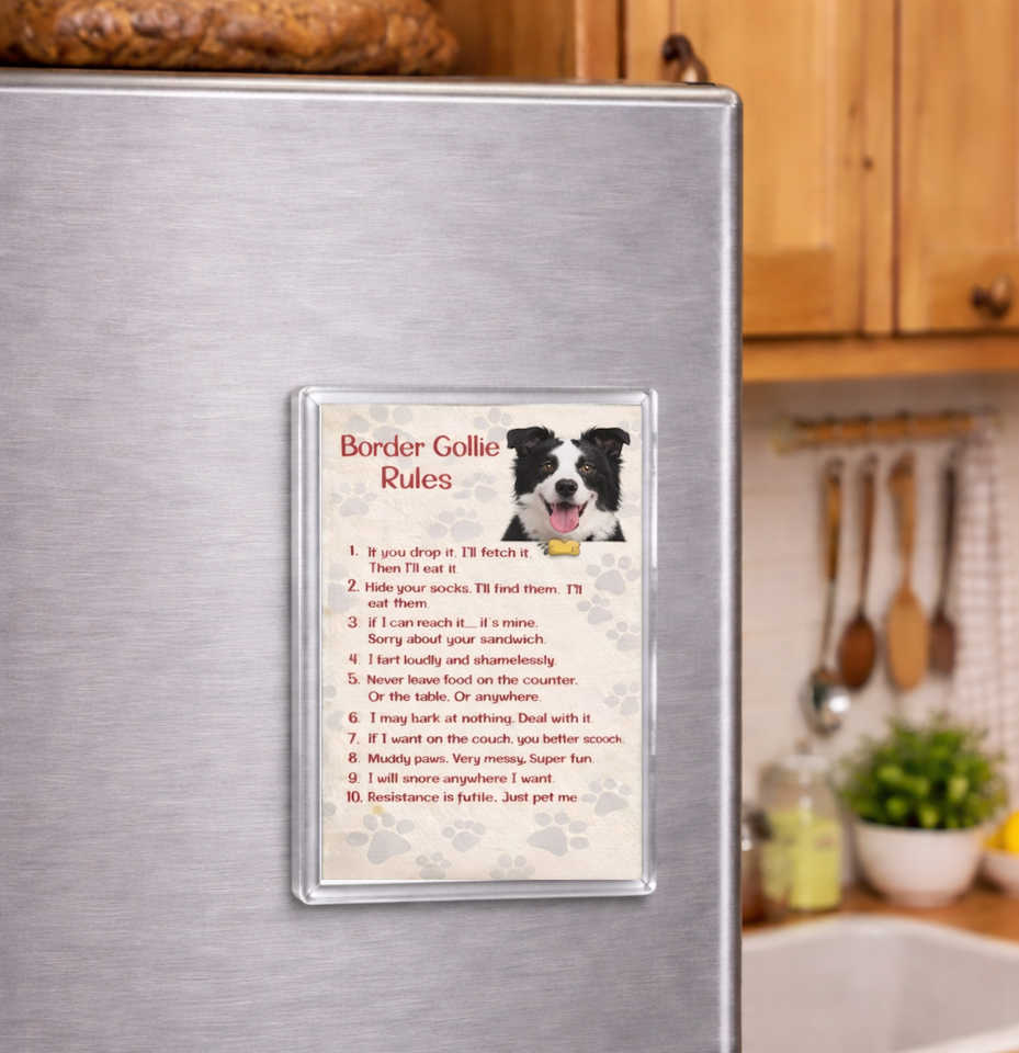 Jumbo Border CollieRules Fridge Magnet Funny Dog Lover Gift Kitchen ...