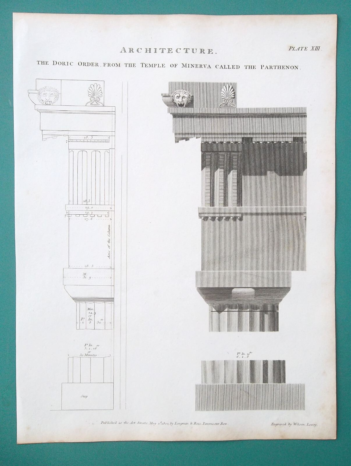 Doric Order Proportions