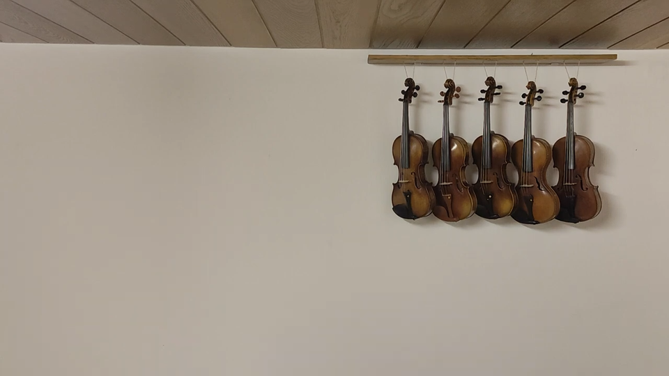 Modern Violin - Violin - Firenzi Model - 4/4 | eBay