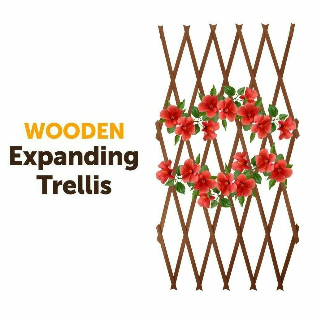 Climbing Plants & Seedlings 6ft Expanding Wooden Trellis Panel ...