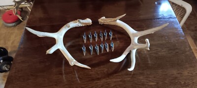 bear super razorhead broadheads | eBay